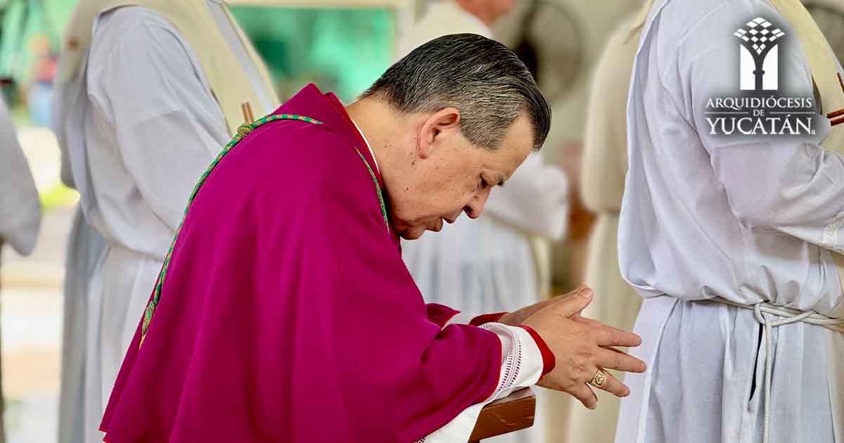 Homilía Arzobispo De Yucatán Xxxii Domingo Del Tiempo Ordinario Ciclo B
